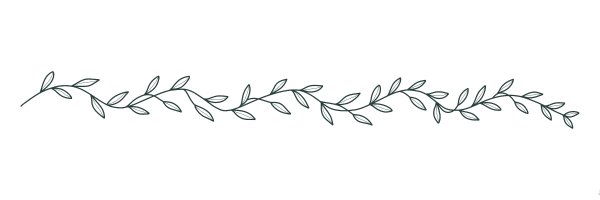 Nature's Network - Parks of Calgary