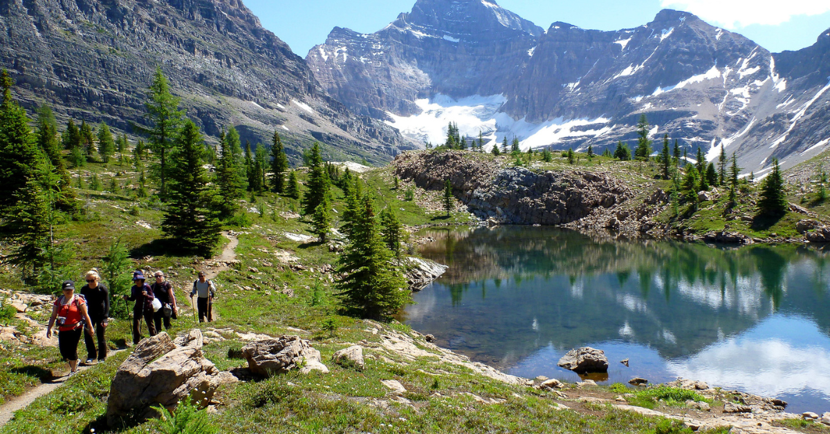 The Outdoor Centre - Parks of Calgary