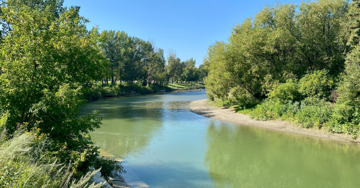 7 Spots To Lounge & Cool Off Along Calgary’s Elbow River - Parks of Calgary