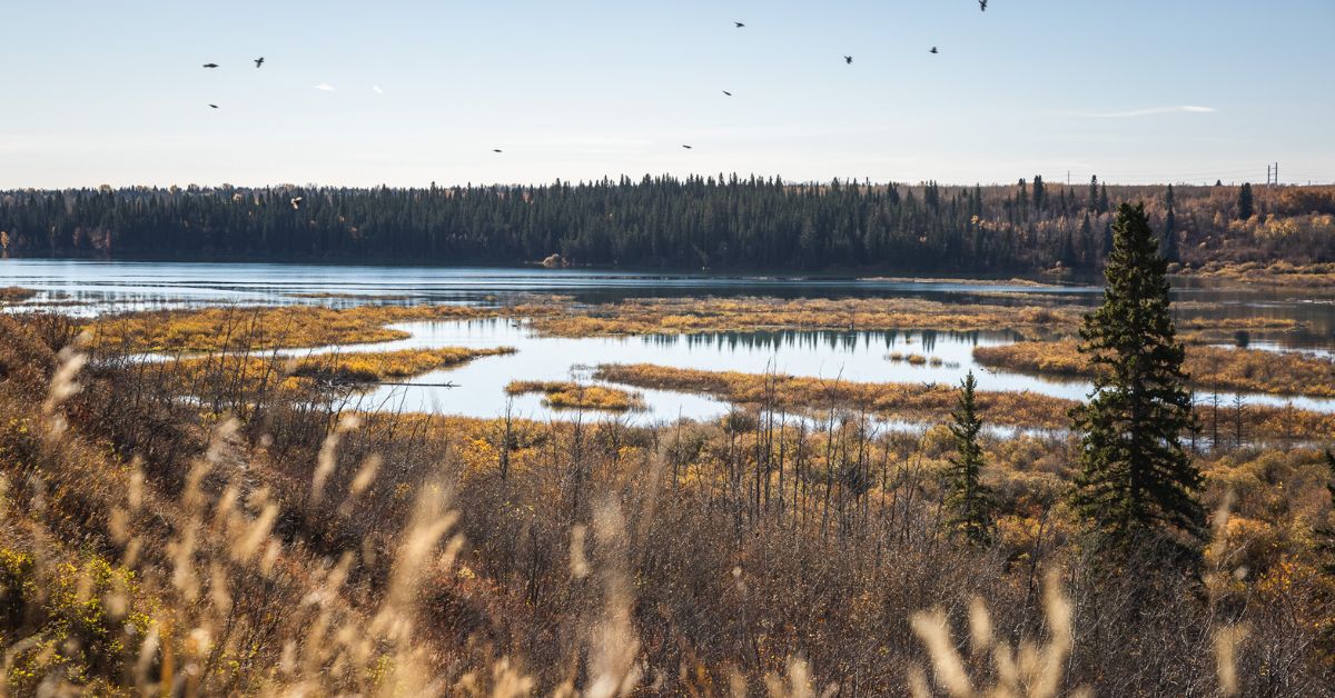 Trails, Parks & Adventures Around The Glenmore Reservoir - Parks of Calgary
